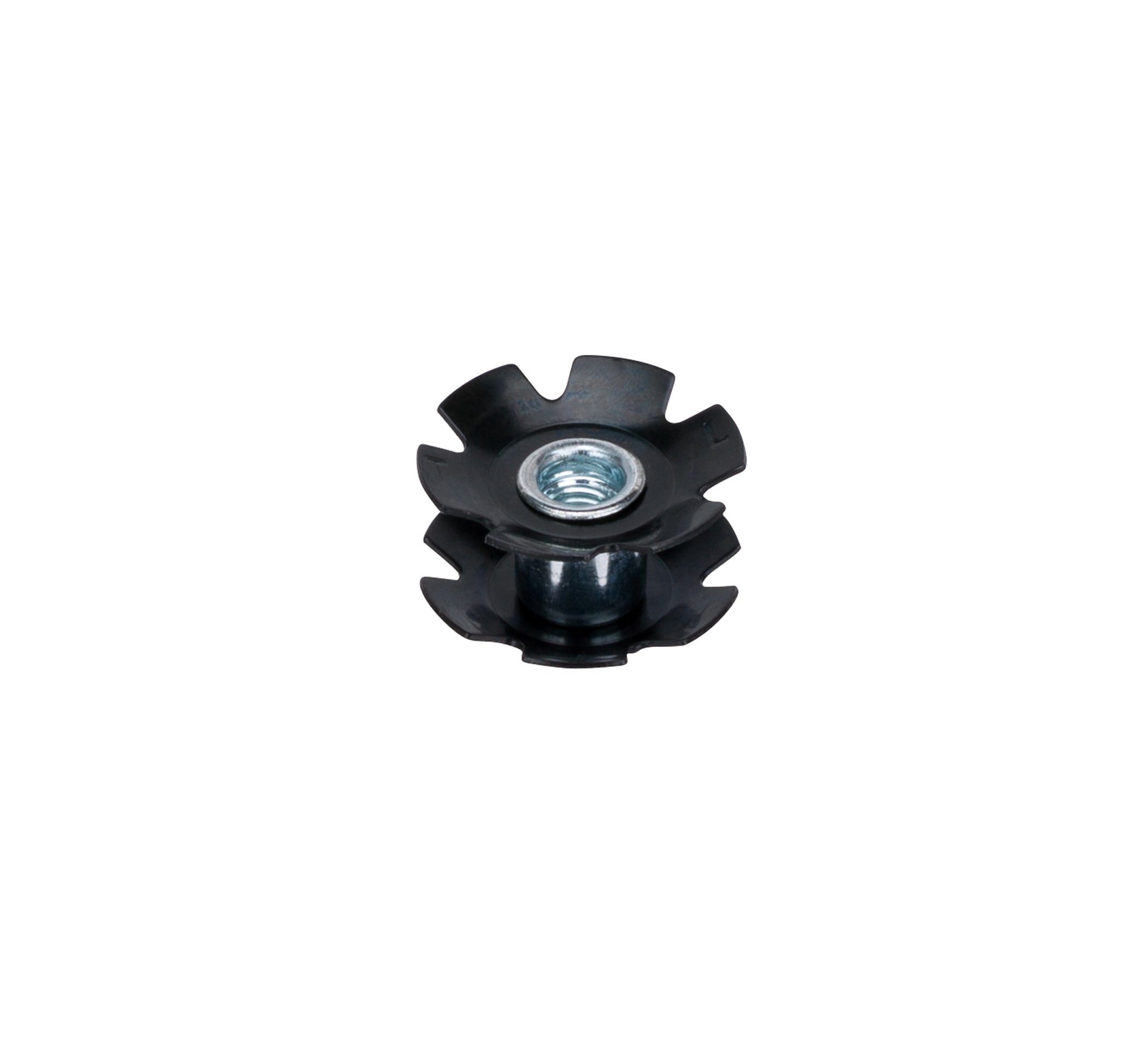 Star-Fangled Nut – Wholesale FSA | Vision