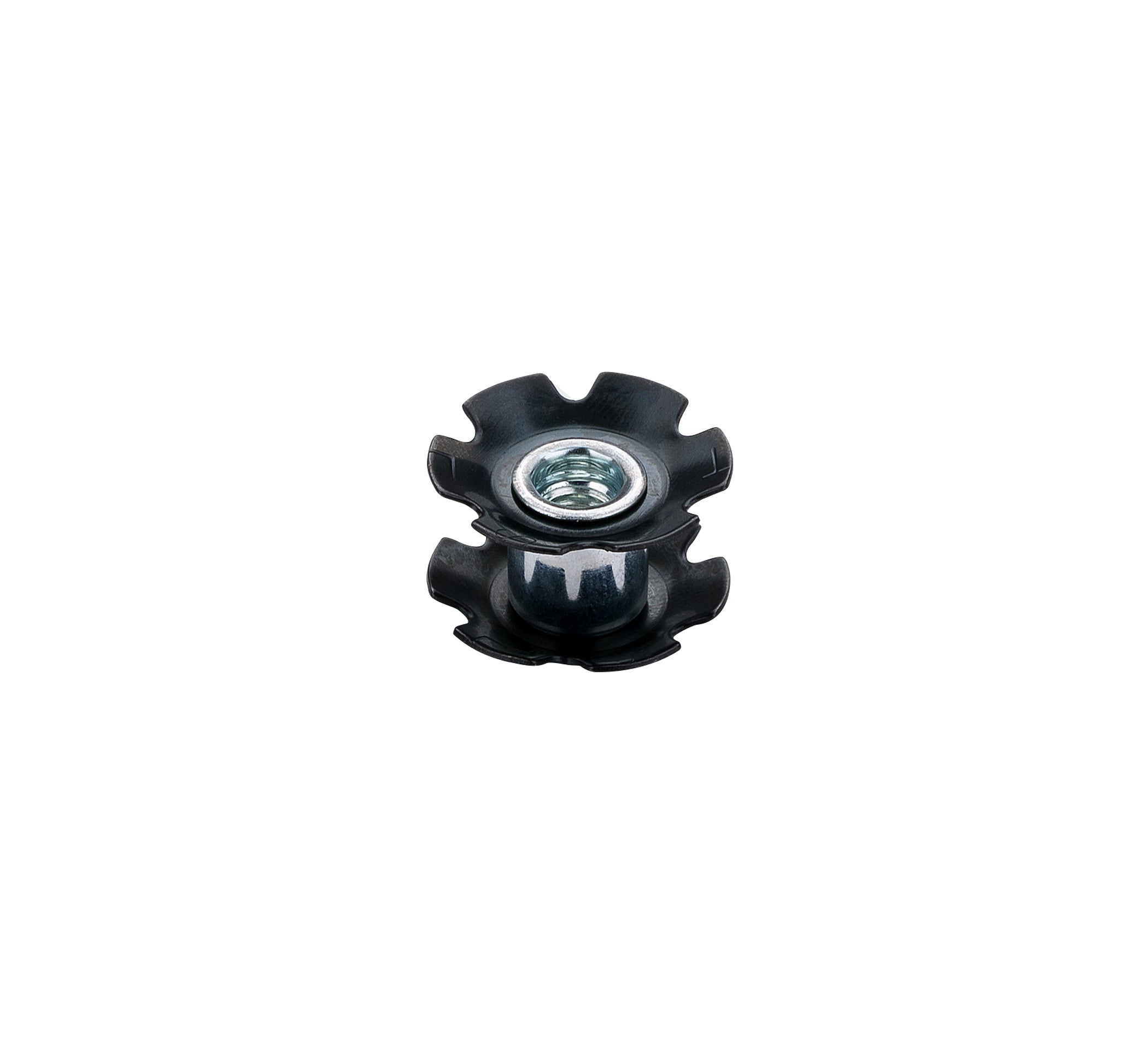 Star-Fangled Nut – Wholesale FSA | Vision